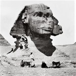 The Smile of the Sphinx – mb-projekt.com
