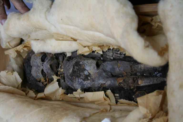 105 Facts about Tutankhamun – mb-projekt.com